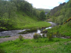 River Devon | The Devon Angling Association